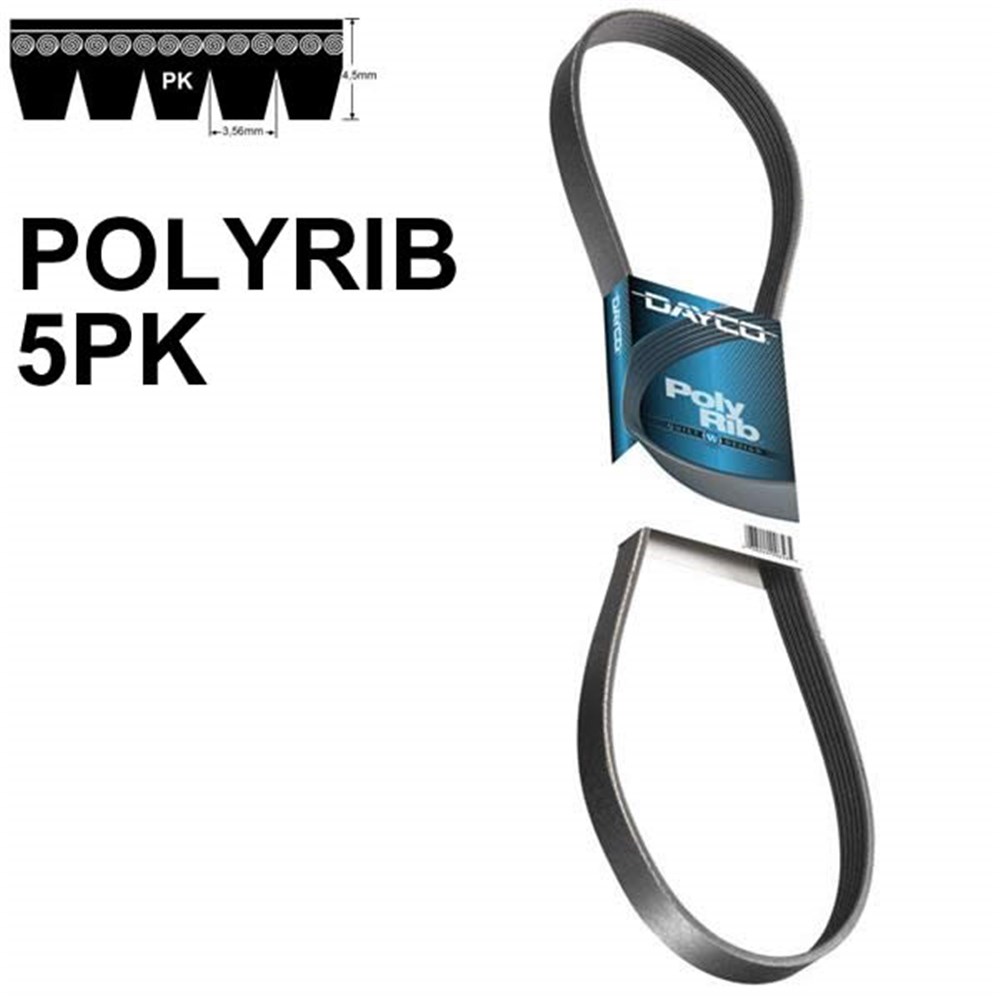 AUTO POLY RIB BELT 5PK1105 DAYCO Collier Miller